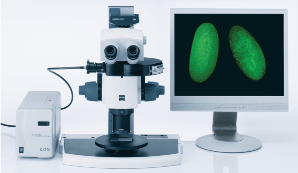 Axio Vert | GLOOR Instruments