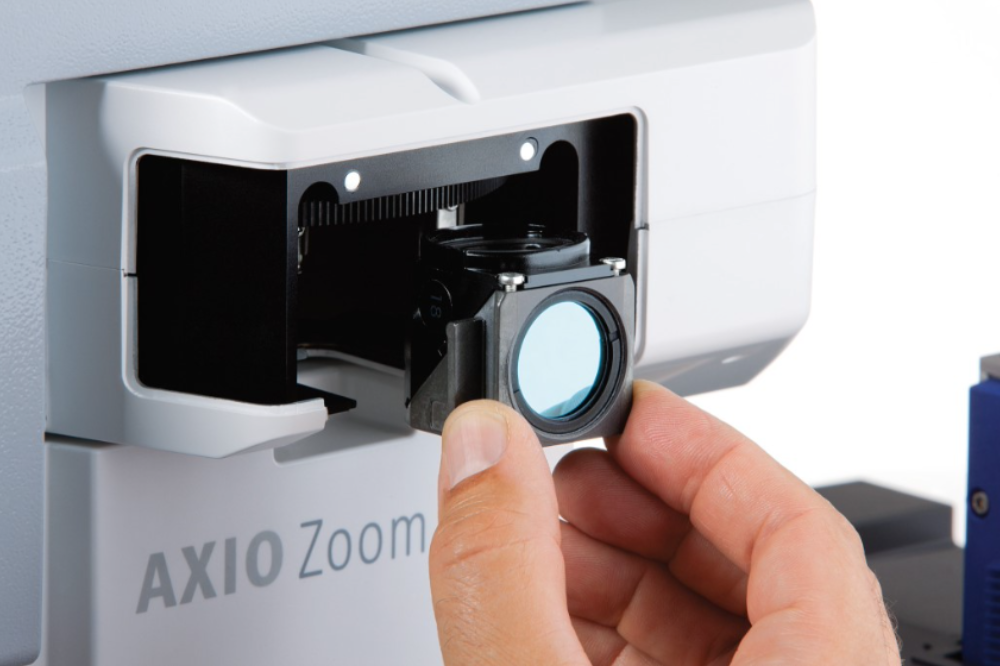 Axio Zoom V16 | GLOOR Instruments